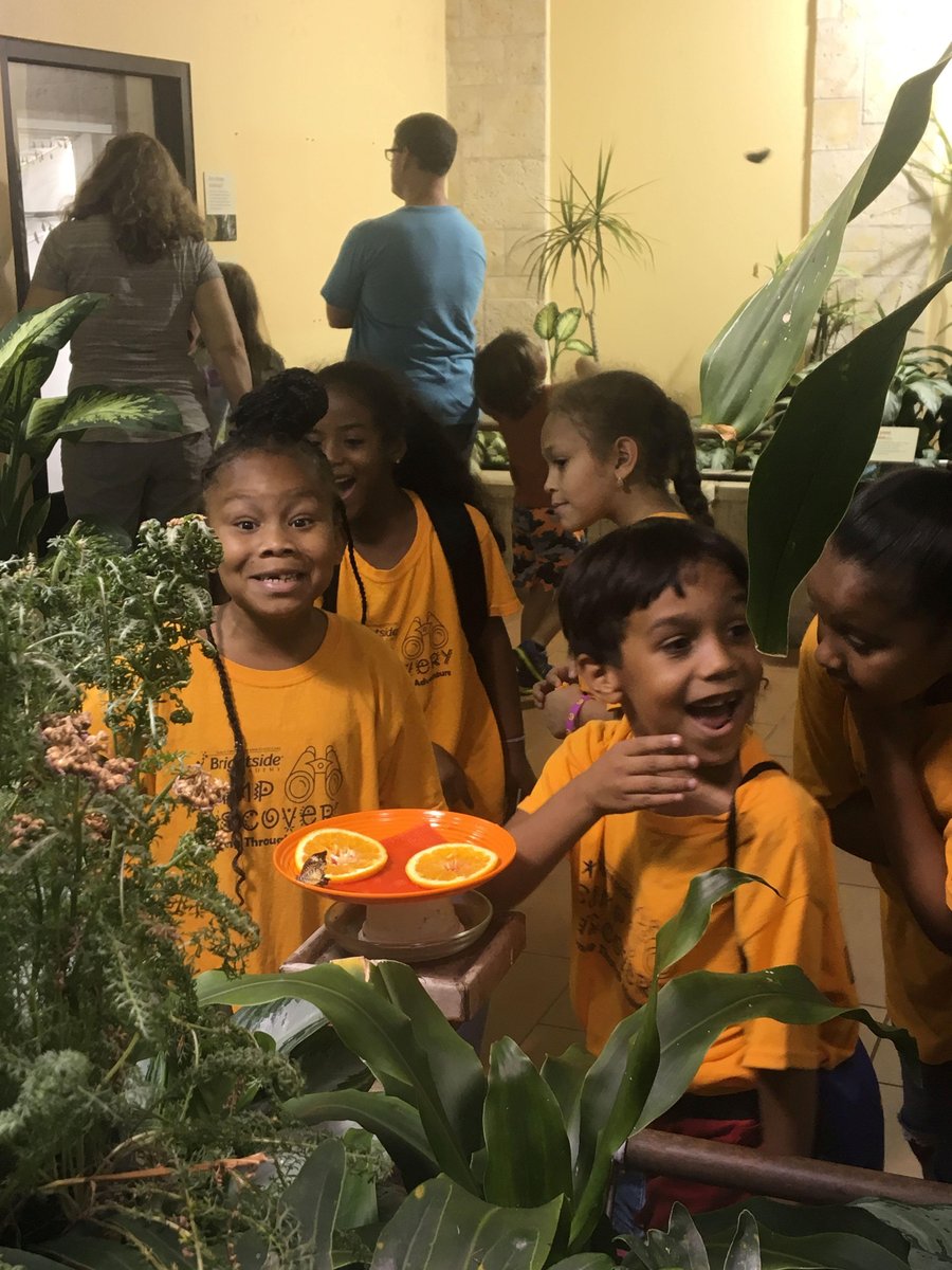 Summer Camp at Brightside